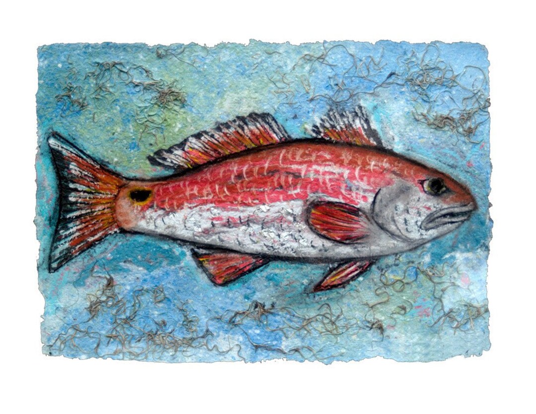 11x14- "louisiana Red Fish"- PRINT MATTED to Fit 11x14 Frame - Etsy