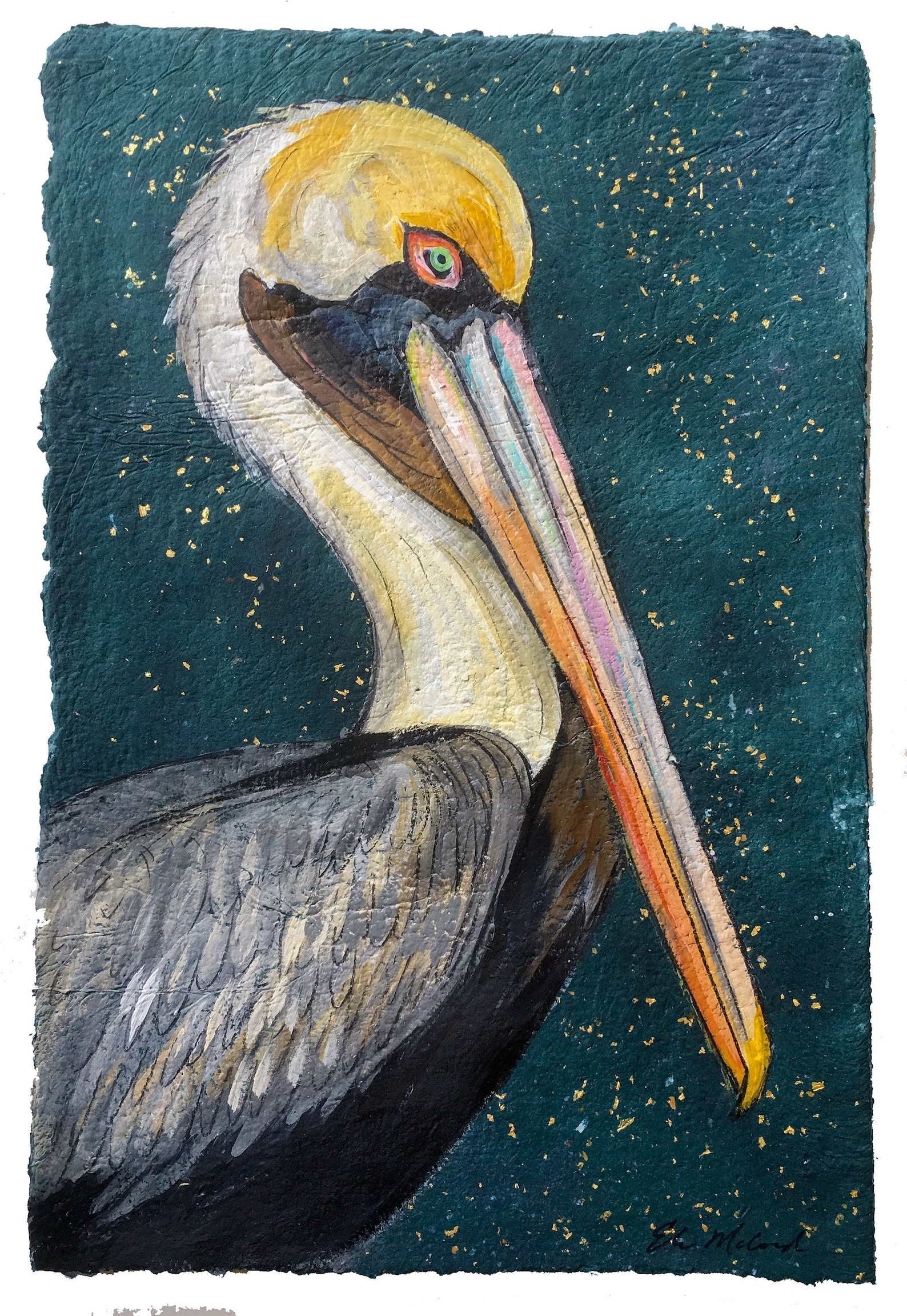 11x14 "colorful Brown Pelican"(louisiana State Bird) - PRINT MATTED to ...