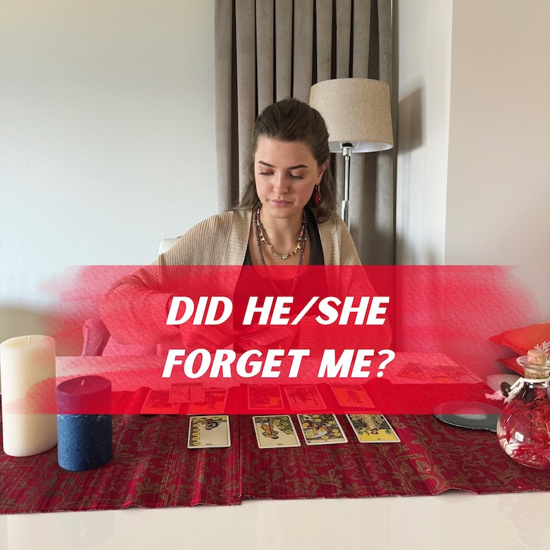 Live Forget Me Not - Etsy