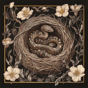 Whisper of Hidden Secrets – Mystical Snake in Nest Art for Dark ...