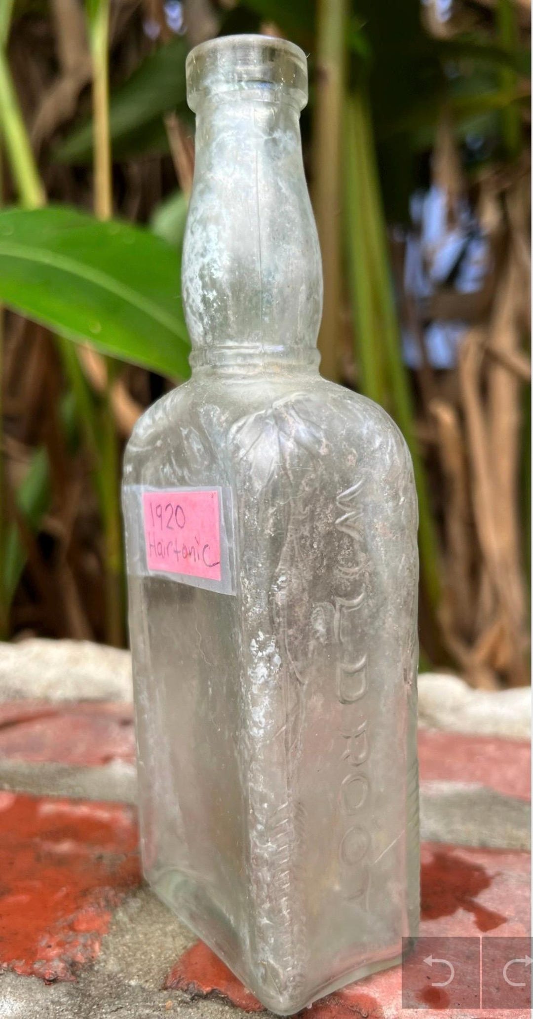 1920’s WILDROOT Hair Tonic - Etsy