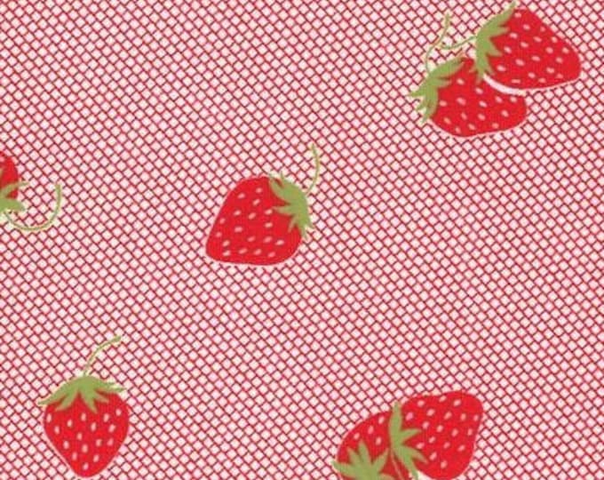 Sunday Stroll Red Strawberry by Bonnie & Camille for Moda Fabrics, Item ...