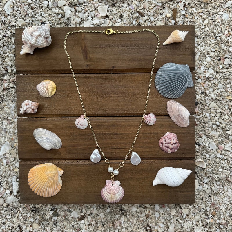 Real Seashells - Etsy