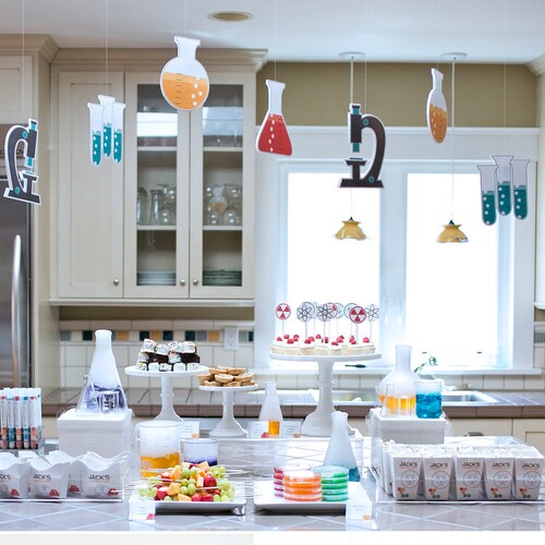 Science PRINTABLE Party Decorations Chemistry Lab Birthday | Etsy