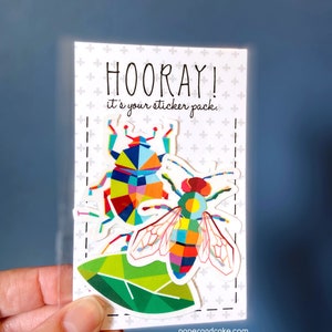 5 Bugs and Insects Stickers, Spider, Ant, Fly Waterproof Sticker Pack ...