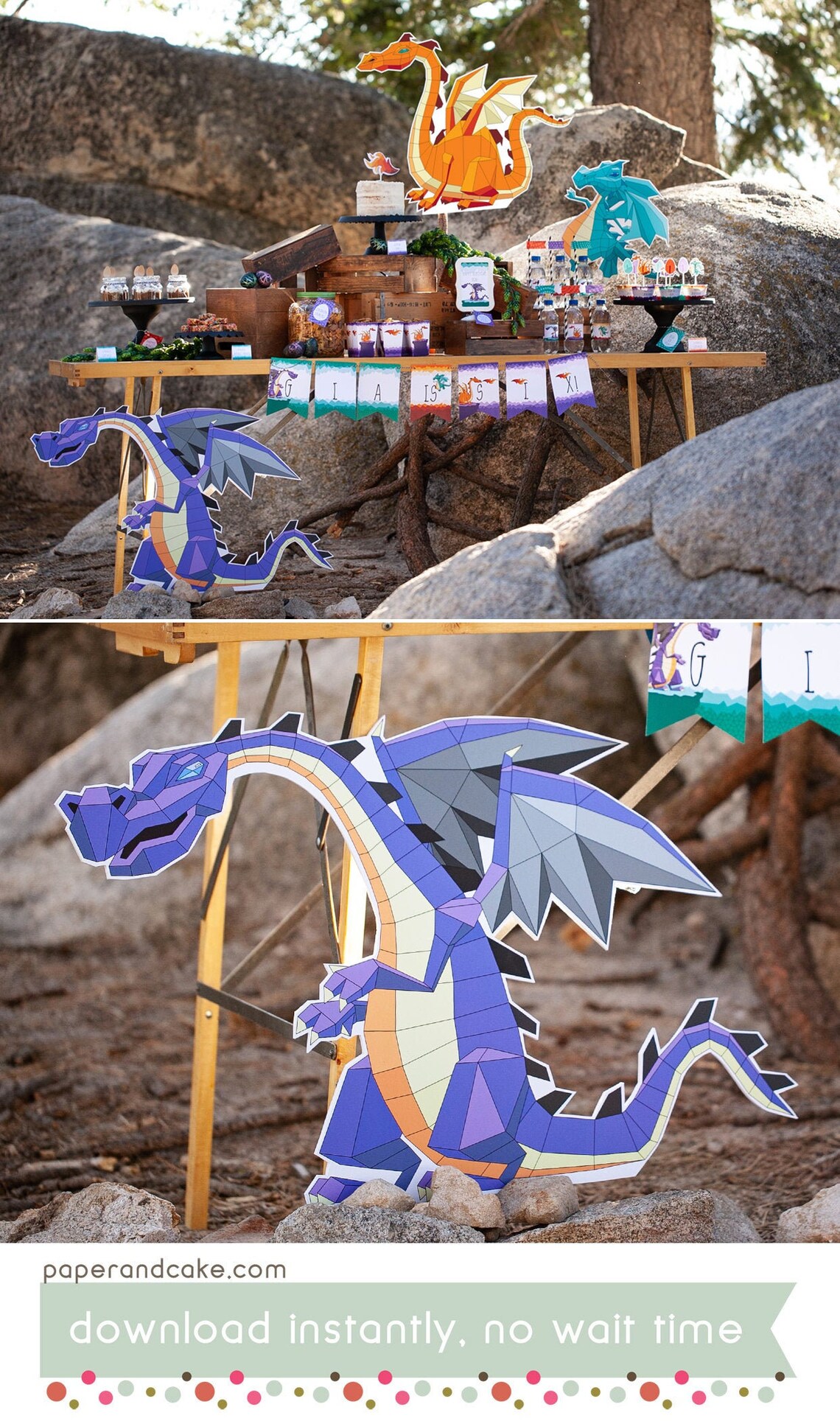 Dragon PRINTABLE Party Decorations - EDITABLE TEXT | Adopt a Dragon ...