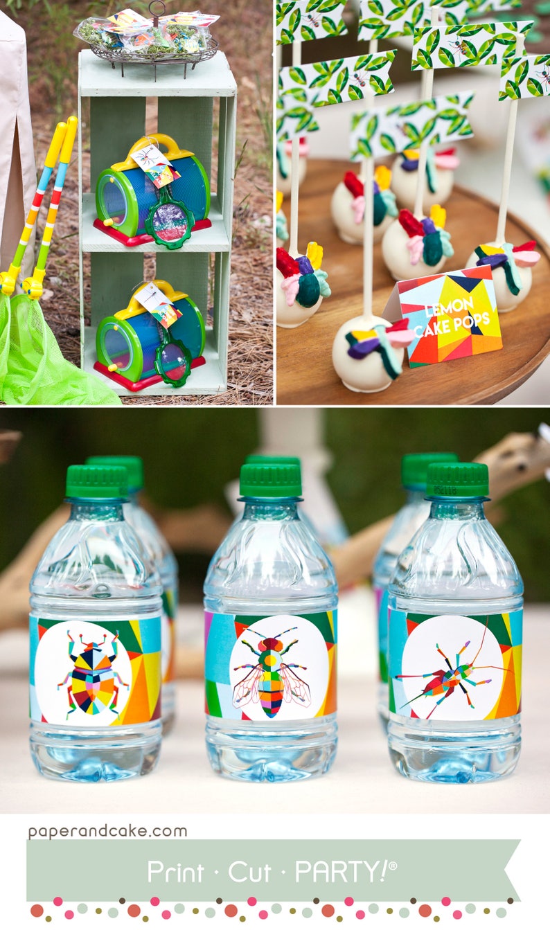Bugs PRINTABLE Party Decorations Insects Birthday Fly - Etsy