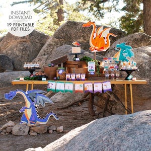 Dragon PRINTABLE Party Decorations - EDITABLE TEXT | Adopt a Dragon ...