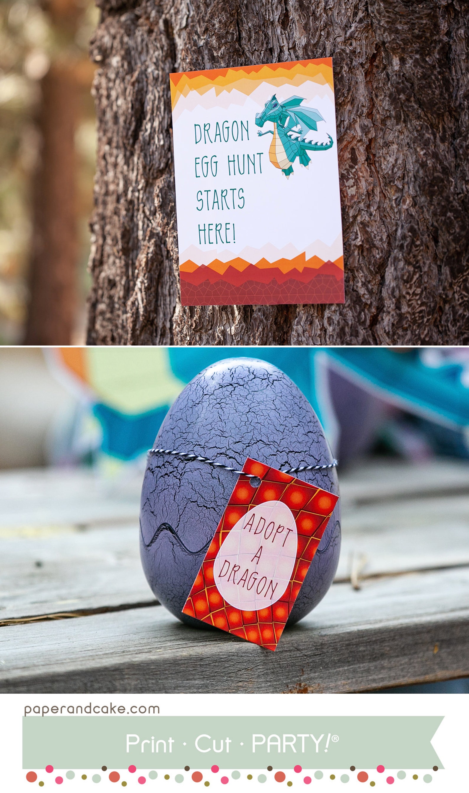 Dragon PRINTABLE Party Decorations - EDITABLE TEXT | Adopt a Dragon ...