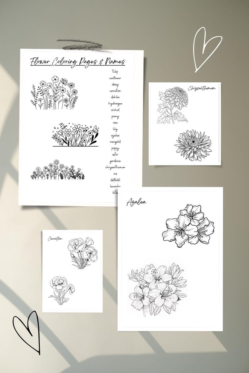 Flower Coloring Pages & Their Names (21 Pages)(digital) - Etsy