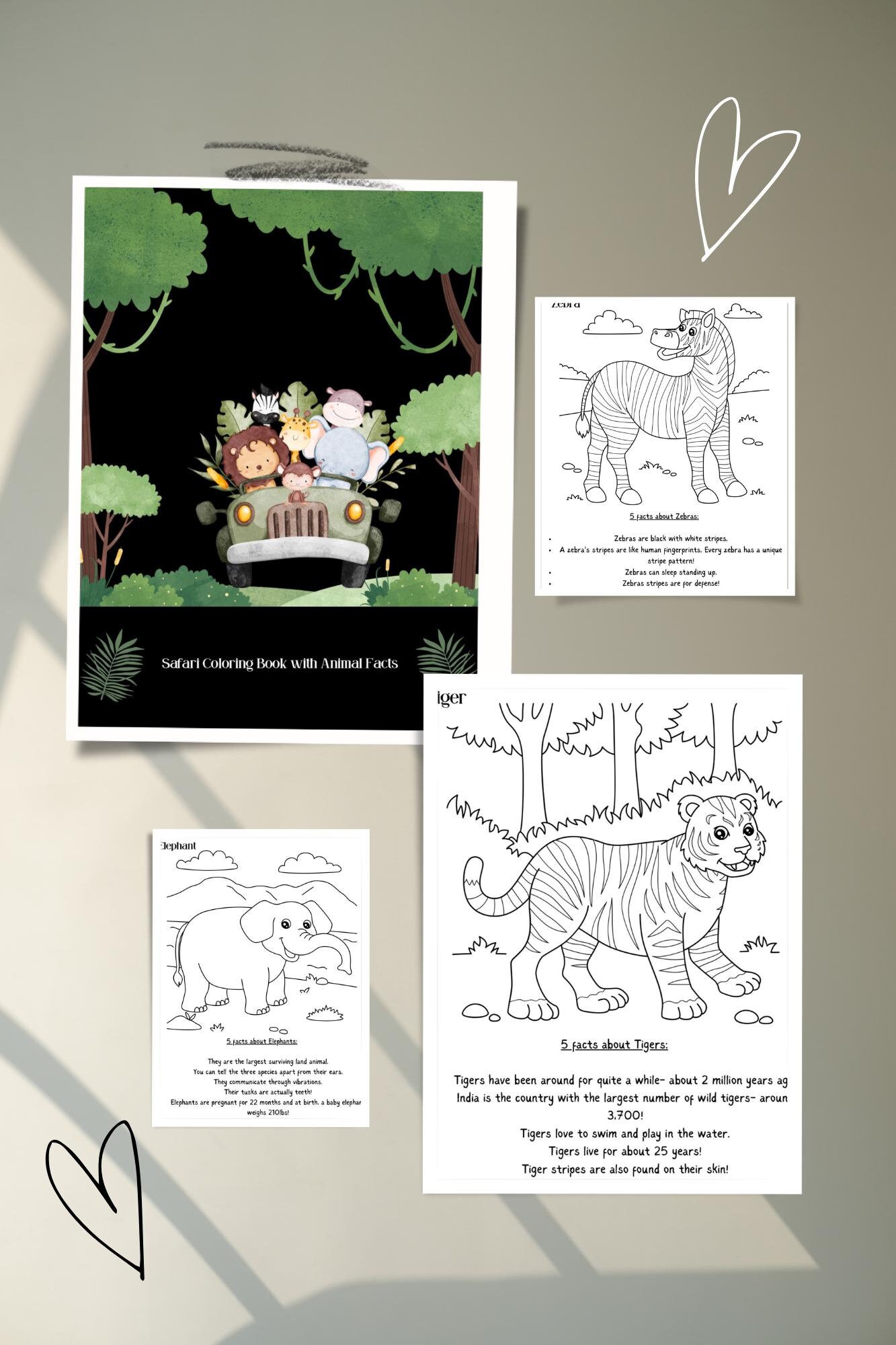 Safari Coloring Pages With Animal Facts digital Item13 Pages - Etsy