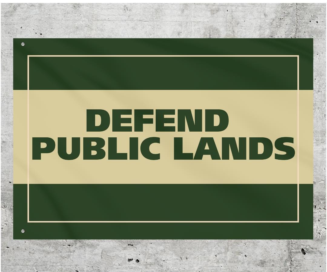 Defend Public Lands Protest Flag | Environmental Activism Protest ...