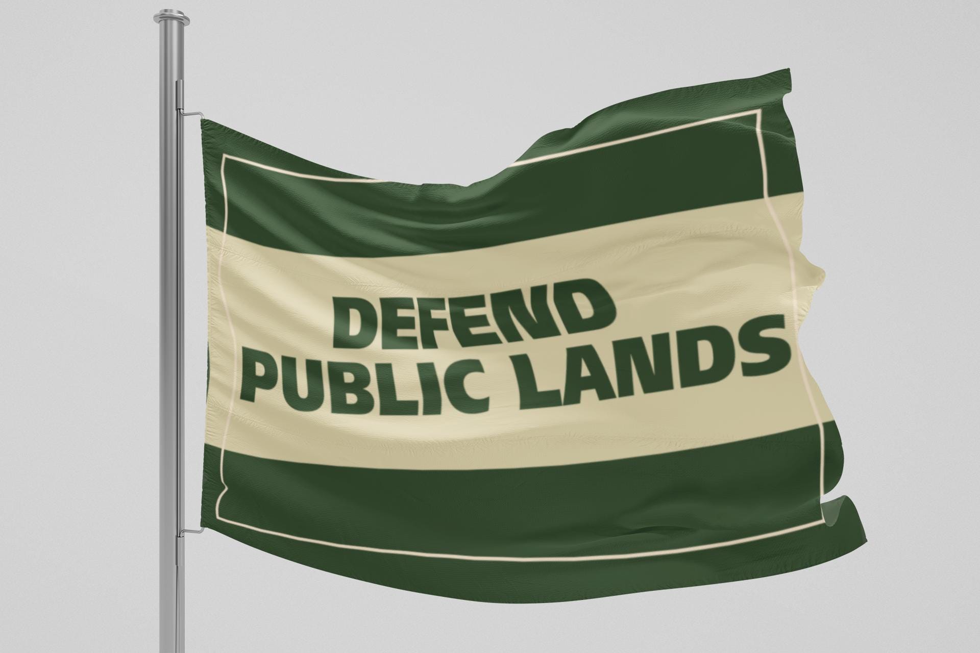 Defend Public Lands Protest Flag | Environmental Activism Protest ...