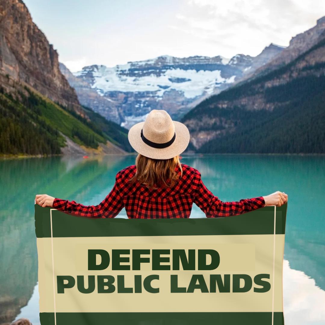 Defend Public Lands Protest Flag | Environmental Activism Protest ...