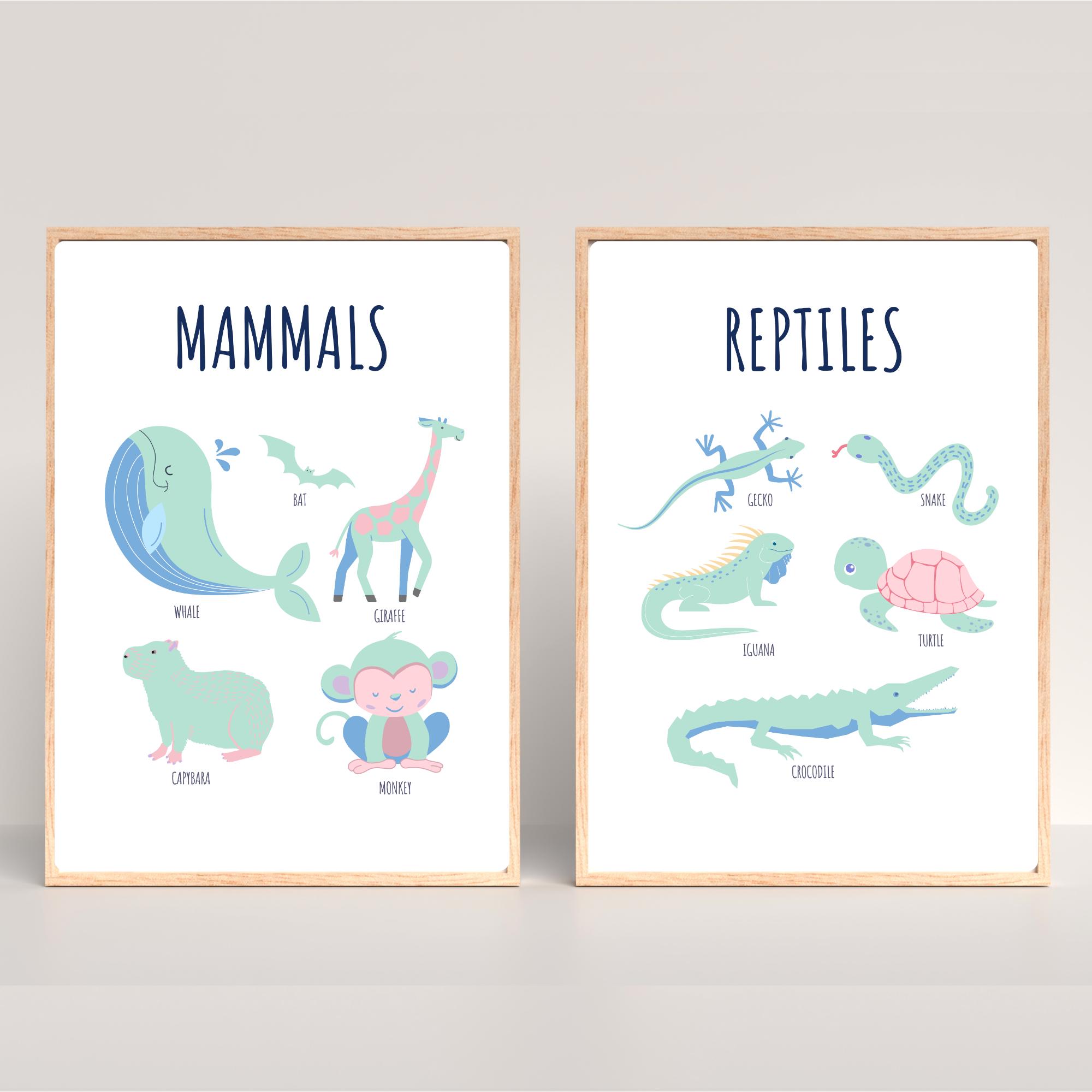 Animal Classification Art, Educational Animal Classification Poster ...