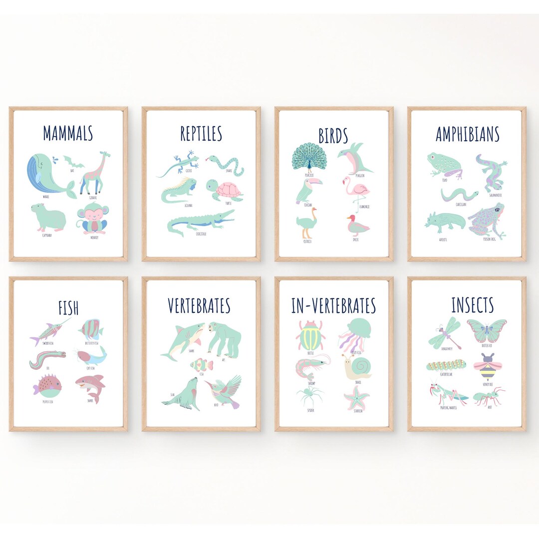 Animal Classification Art, Educational Animal Classification Poster ...
