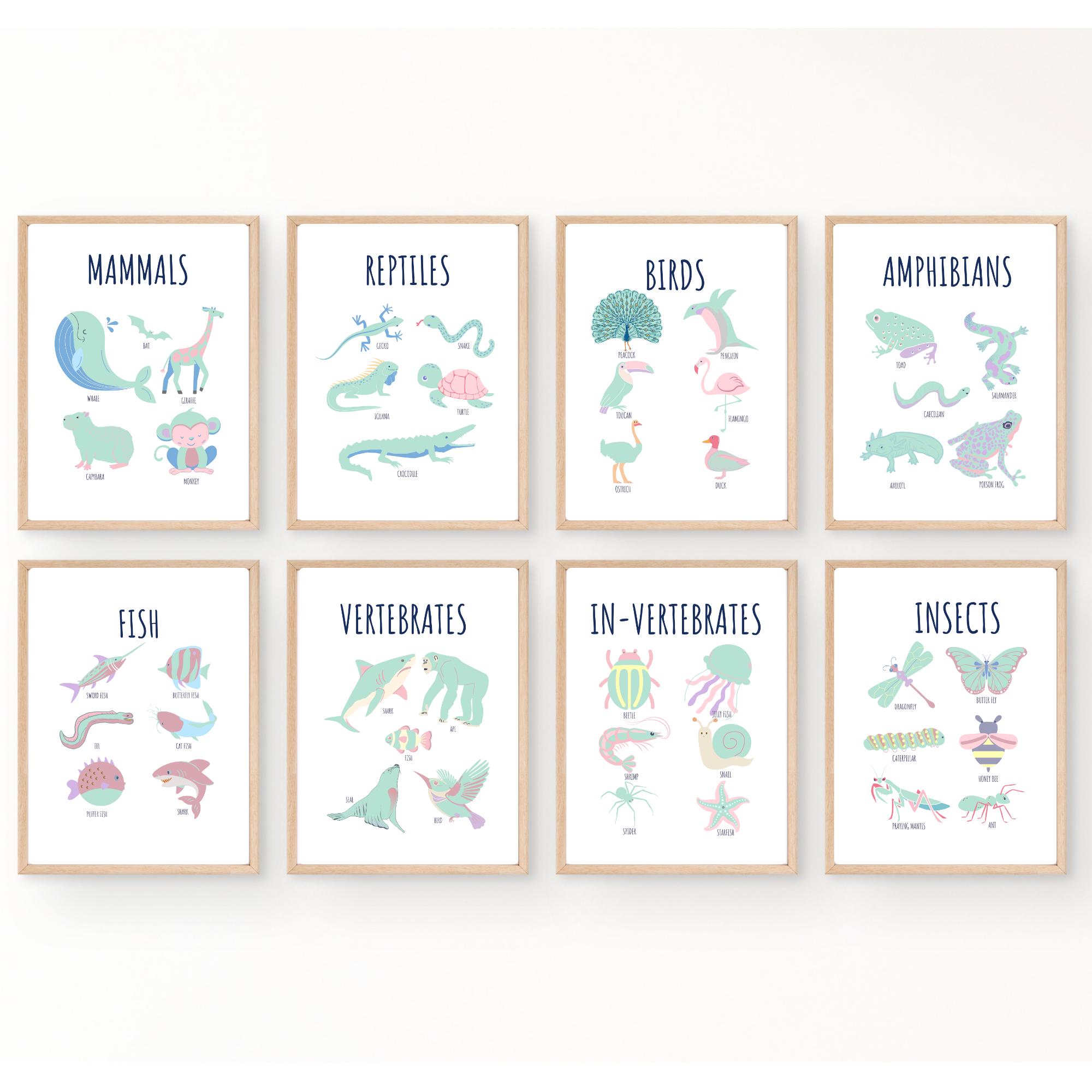 Animal Classification Art, Educational Animal Classification Poster ...