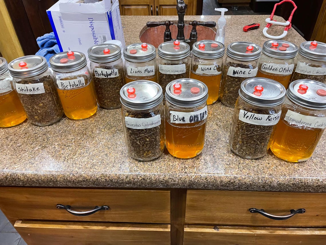 Mushroom Liquid Cultures - Etsy