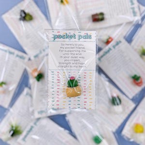 Pocket Pals, Cute Plant, Mystery Gift, Support Gift, Thank You Gift - Etsy