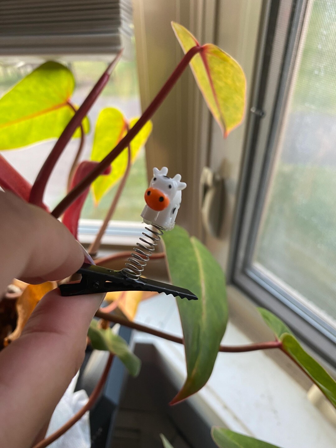 Cow Sprout - Etsy