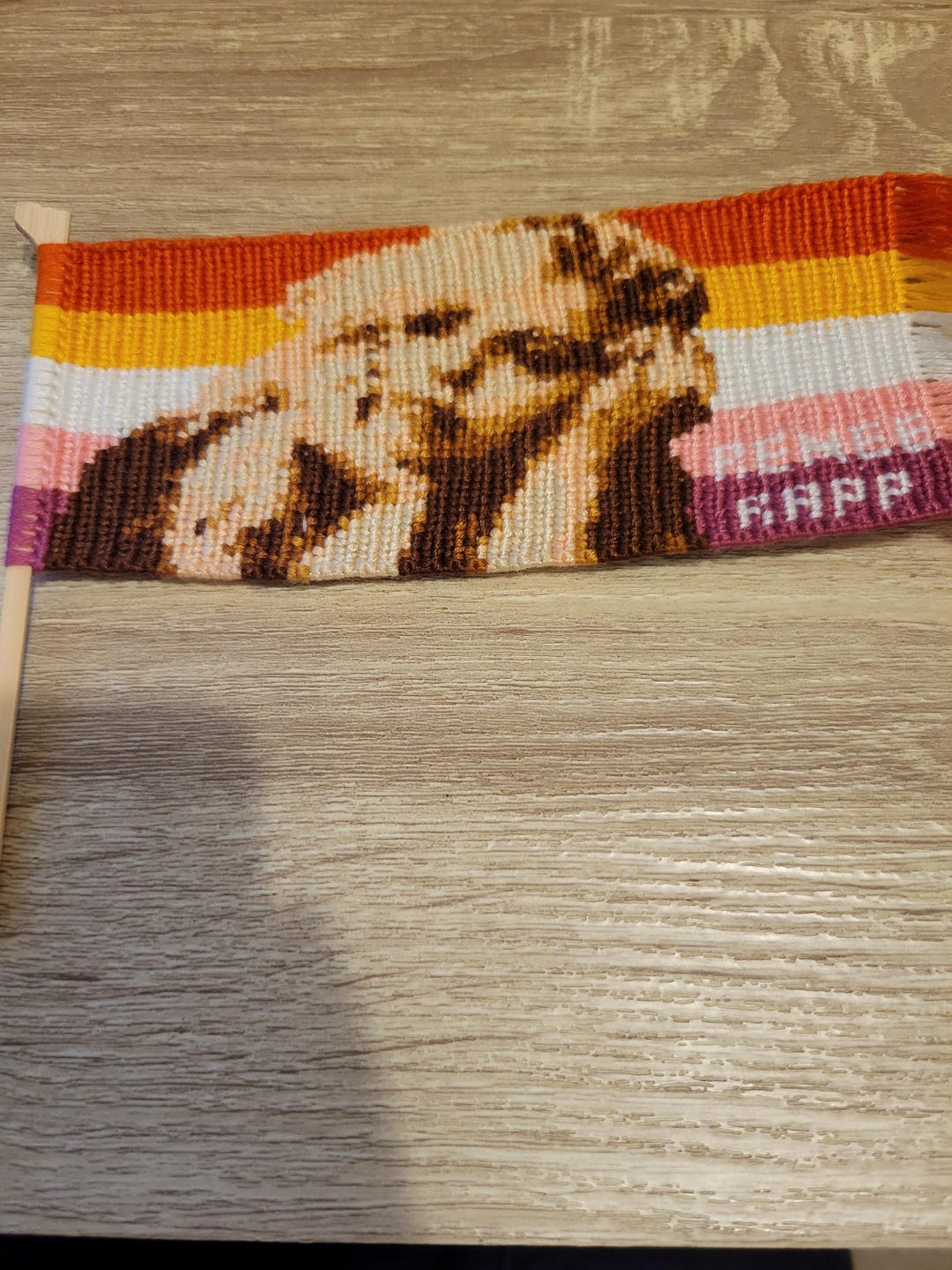 Reneé Rapp Flag - Etsy