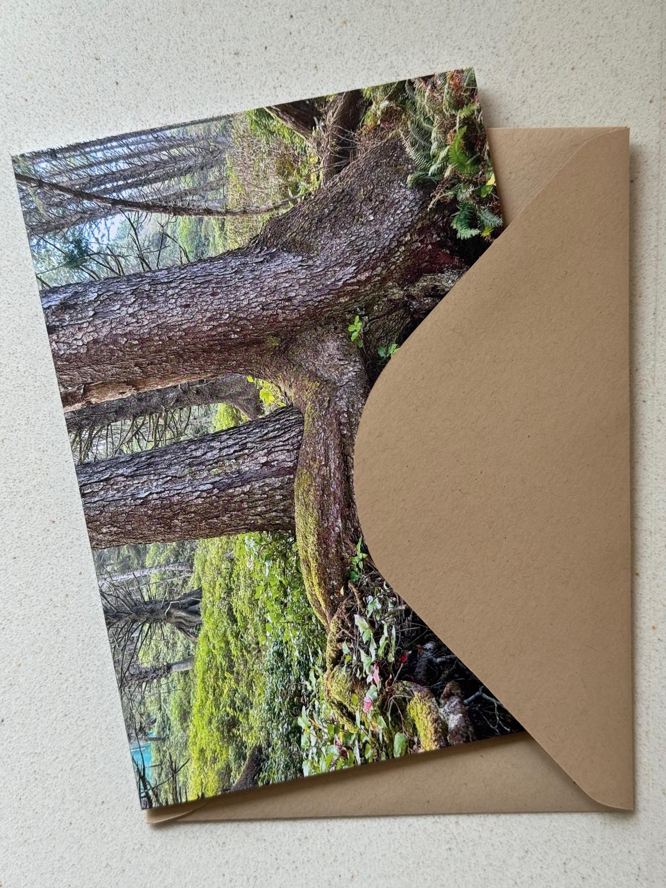 Tree Hug - Friendship, Support - Etsy