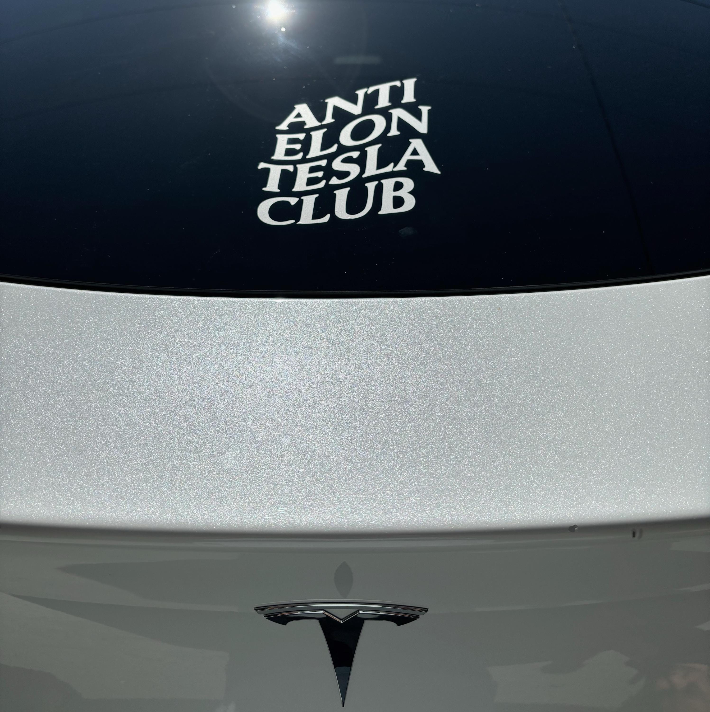Anti Elon Tesla Club DECAL - Etsy