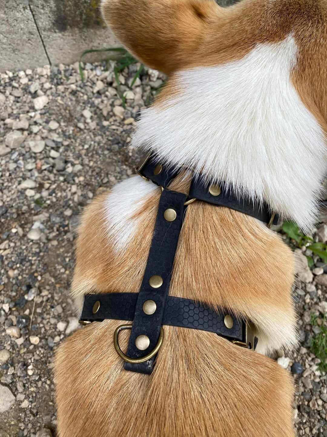 Customizable Biothane/tpu Metal Harness - Etsy