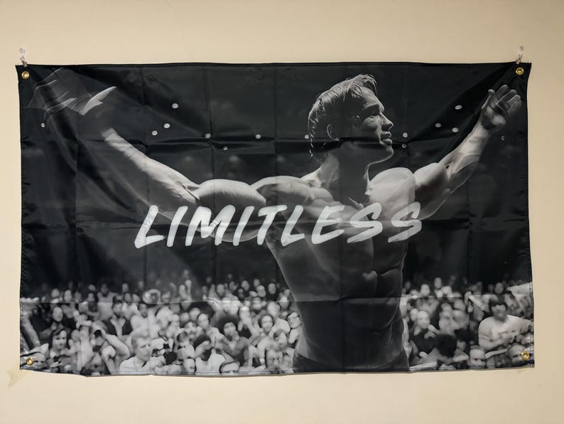Schwarzenegger Limitless Poster 3x5 Flag Gym Motivation Fitness Poster ...