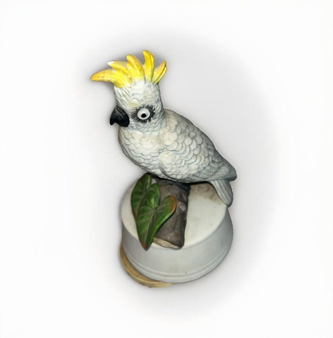 Parrot Bird Music Box Made in Japan - Etsy