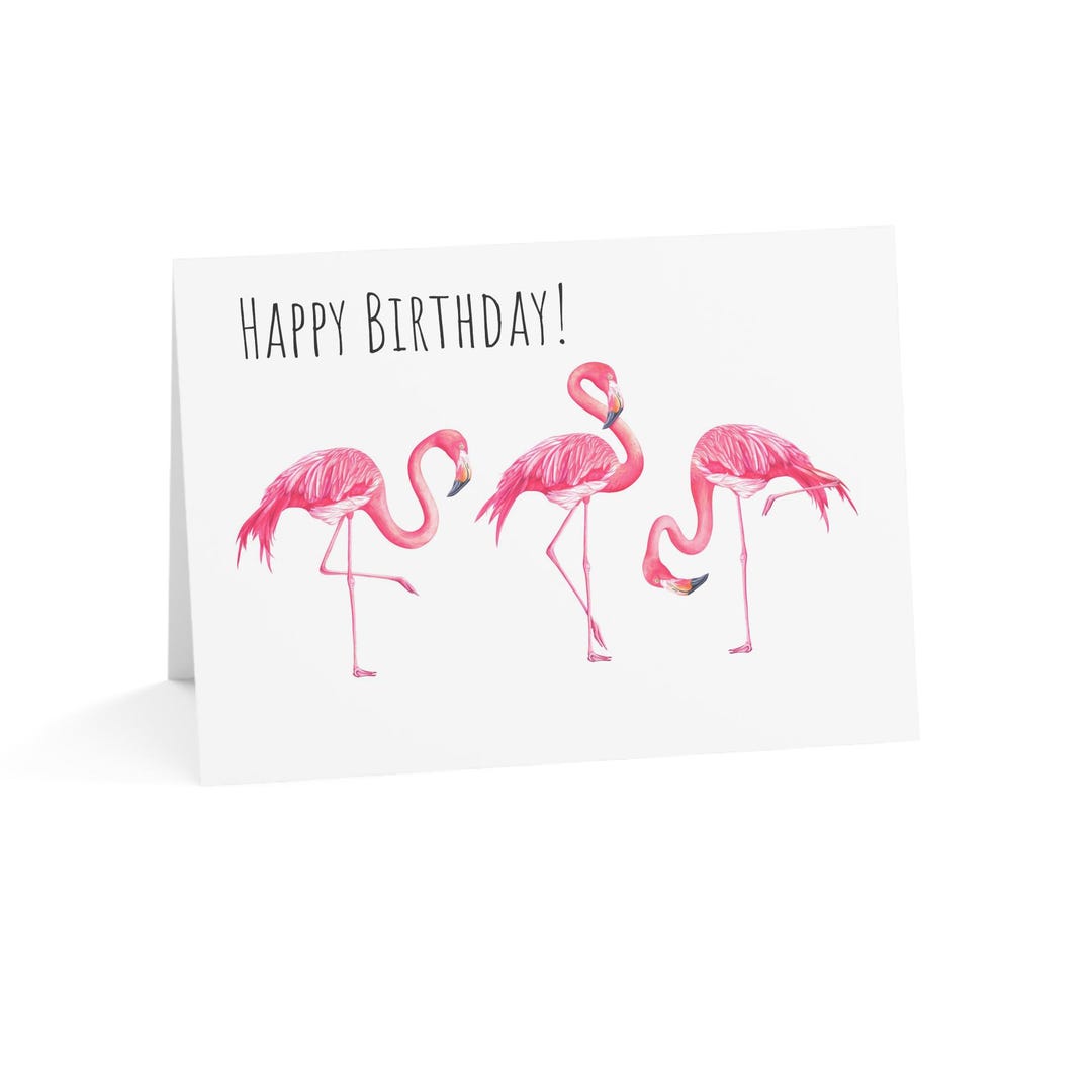 10 Pack - Flamingo Happy Birthday Greeting Cards With Envelopes 5x7 ...