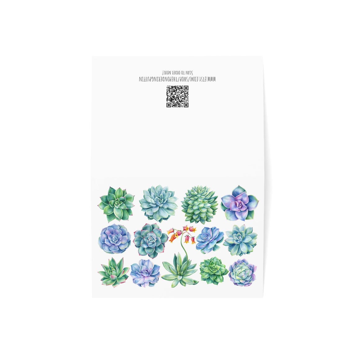 10 Pack Sweet Succulents Greeting Cards With Envelopes 5x7, Note Cards ...