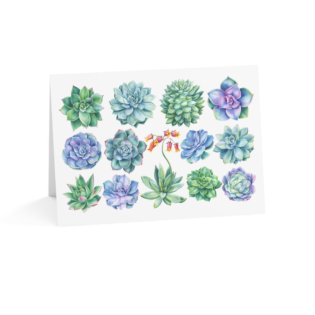 10 Pack Sweet Succulents Greeting Cards With Envelopes 5x7, Note Cards ...