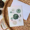 Swiss Cheese Plant Sticker, Monstera Adansonii, House Plant in ...