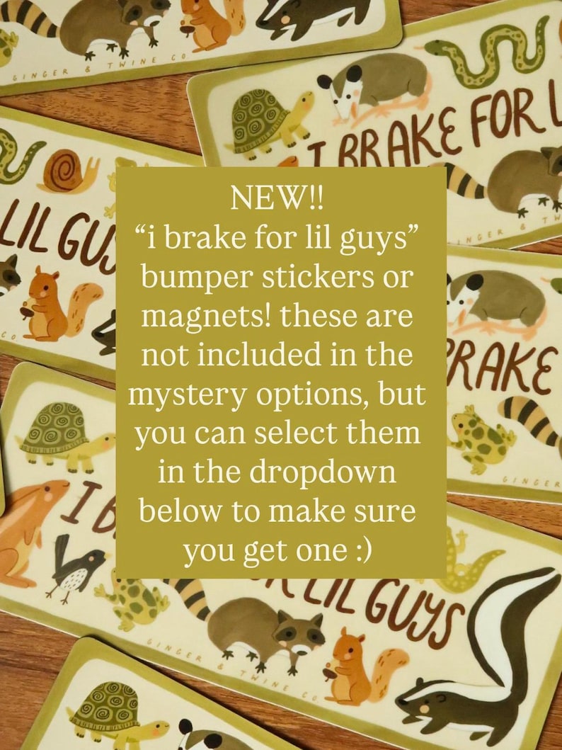 Mystery Oopsie Cottagecore Stickers | Durable Waterproof Vinyl - Etsy