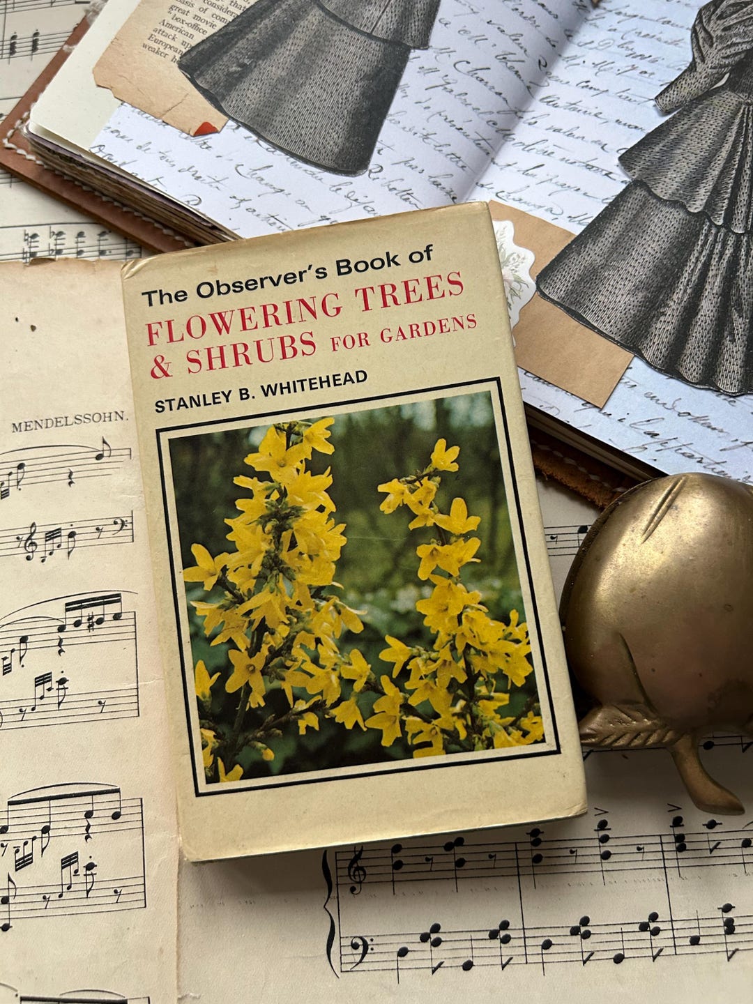 Observer's Flowering Trees and Shrubs. Vintage Observers Books With ...