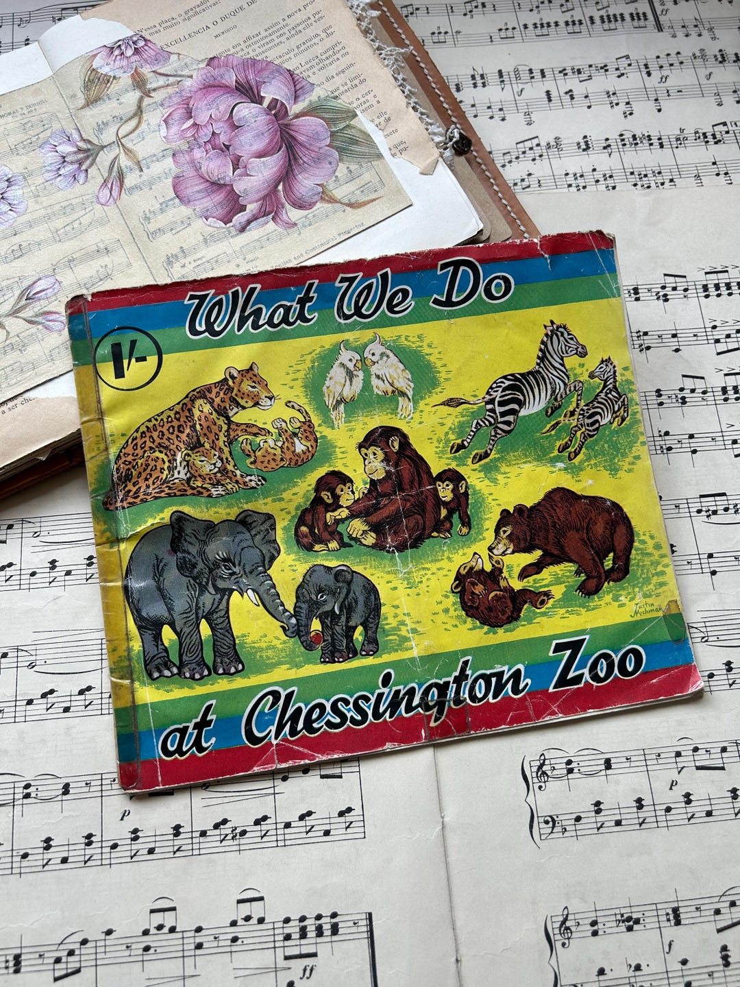 Vintage Chessington Zoo Children's Book. Vintage Booklet About Animals ...