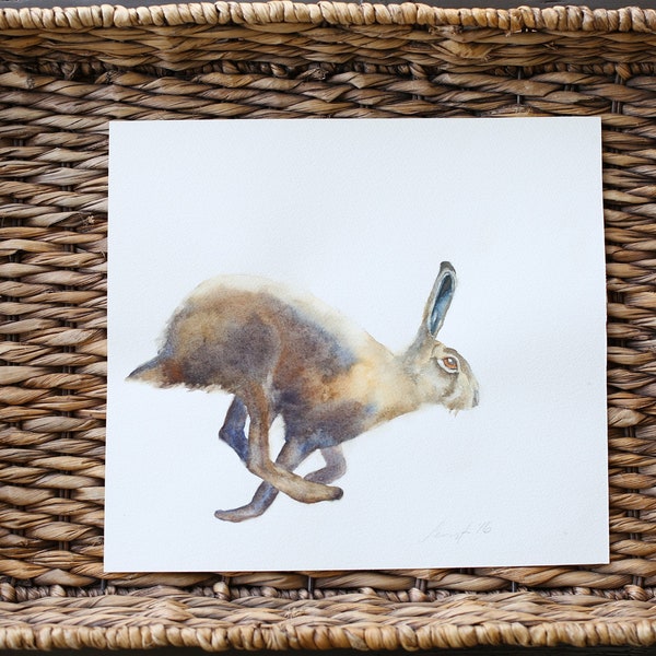Jack Rabbit - Etsy