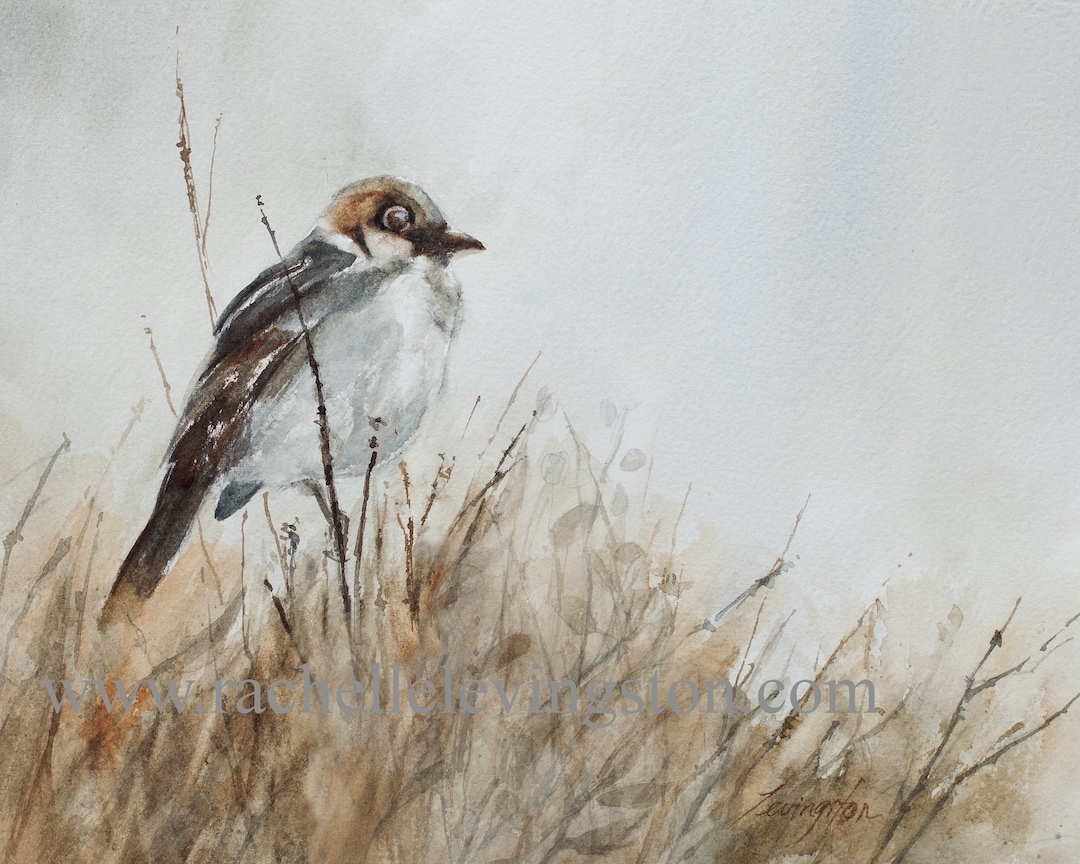 Sparrow Watercolor Print Set: Brown Bird Art, Perched Bird Painting - Etsy