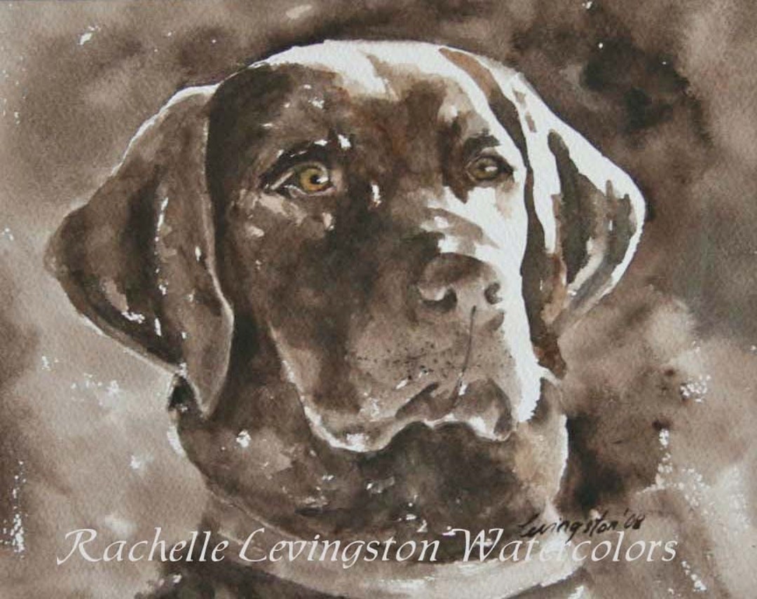 Chocolate Lab PRINT of Chocolate Lab- Painting Lab Art Print- Dog Print ...