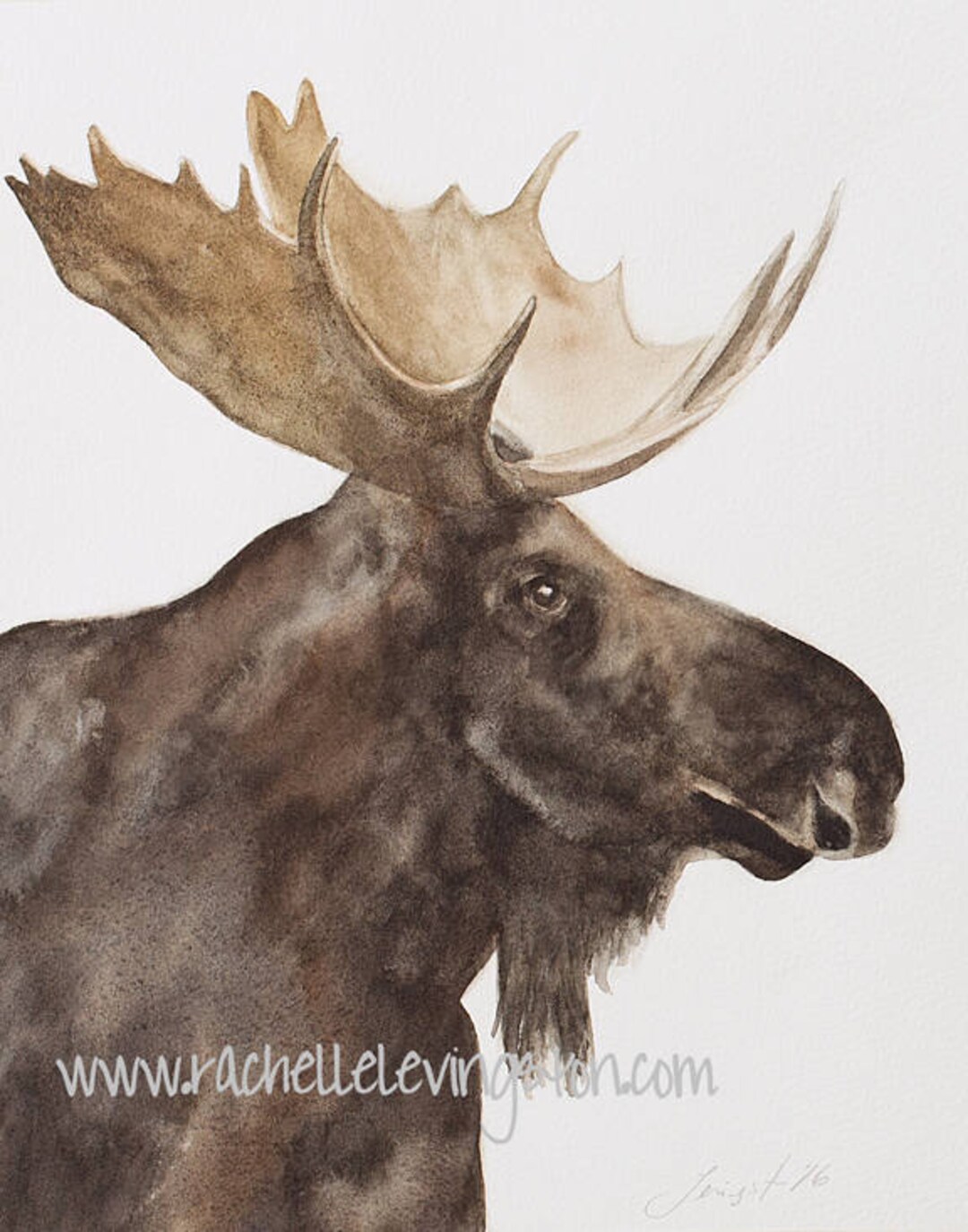 Watercolor Moose Print: Animal Nursery Art, Woodland Painting - Etsy