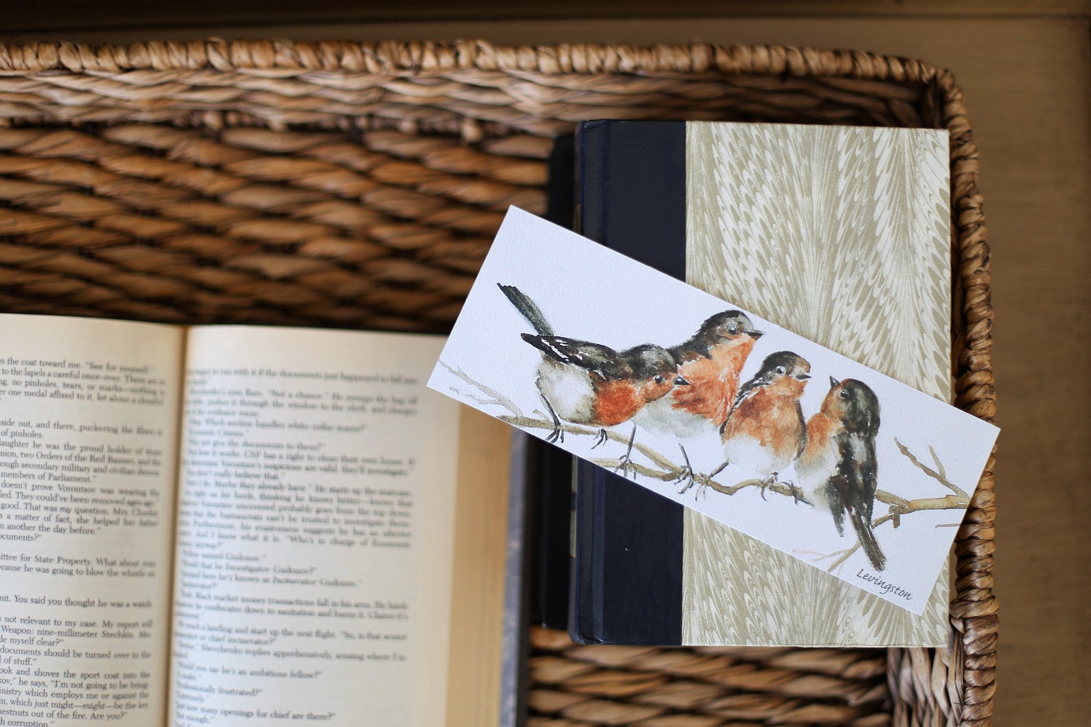 Instant DOWNLOAD of Bird Bookmarks. Printable Bird Bookmarks | Etsy