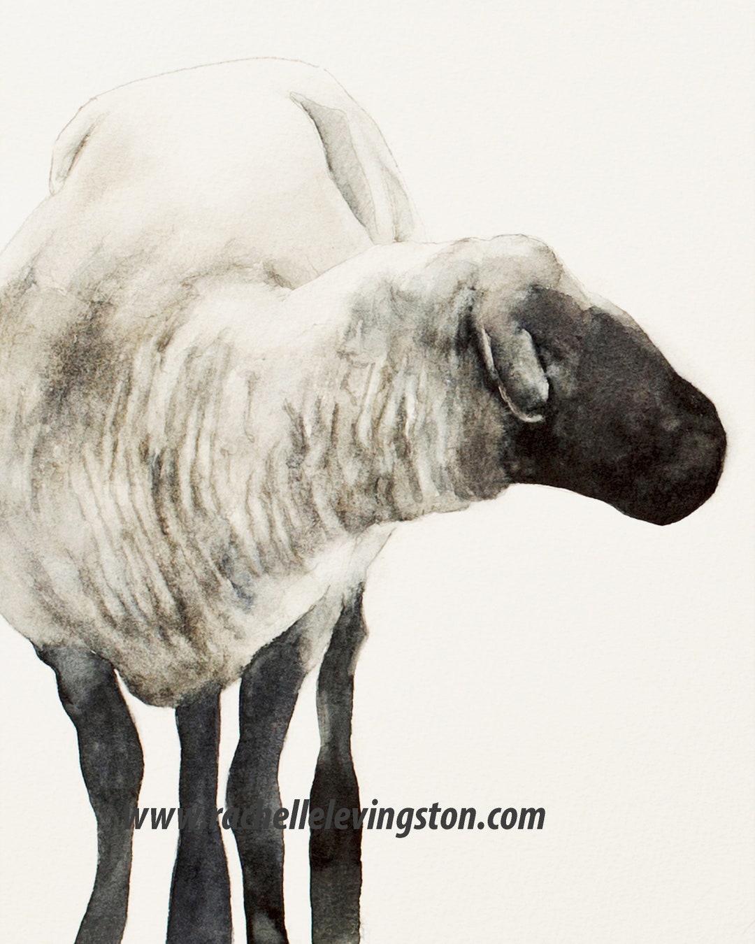 Sheep Art Print: Farmhouse Watercolor Painting (5x7, 8x10, 11x14) - Etsy