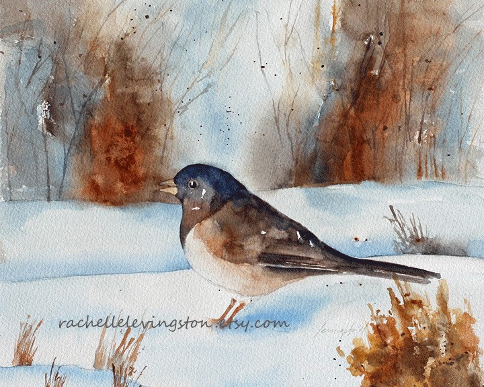 Junco Painting of Junco. Winter Bird PRINT of Dark Eyed Junco Bird Art ...