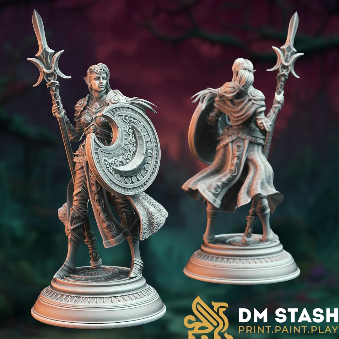 Moon Elf Paladin Miniature: Female Twilight Cleric With Shield by DM ...