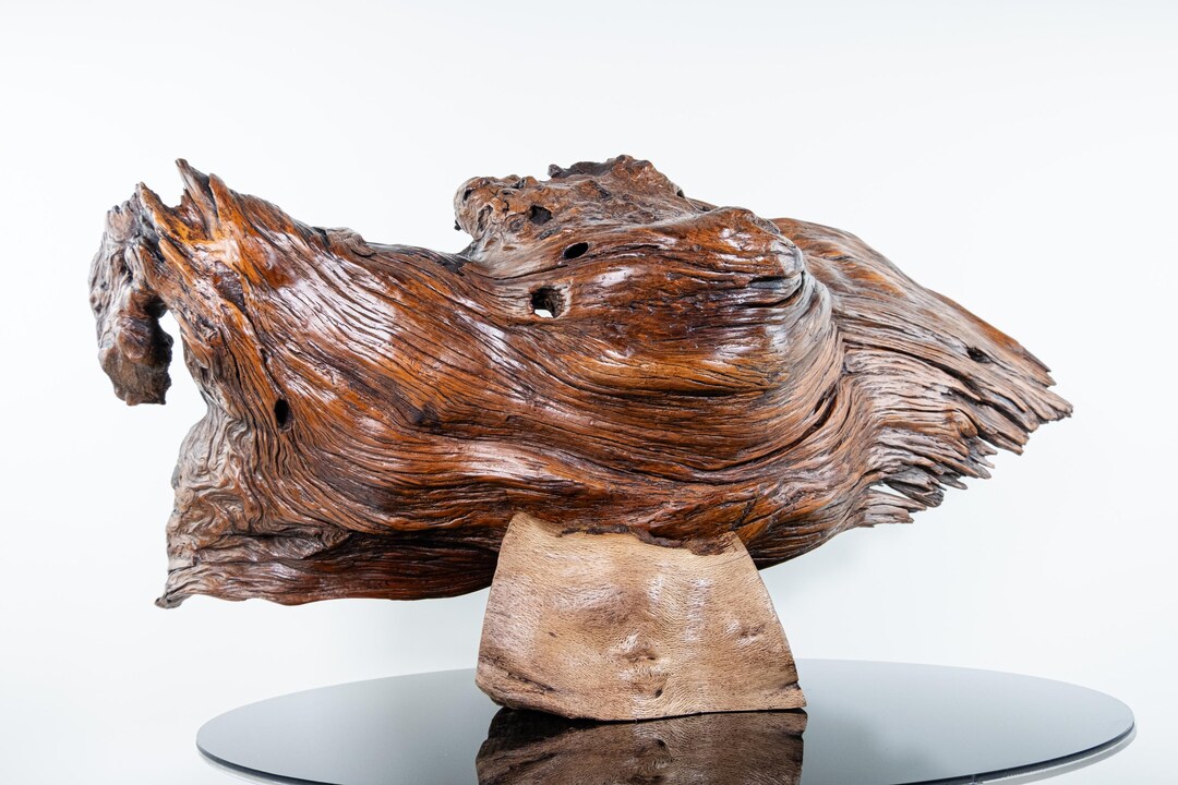 Mystical Juniper Driftwood Sculpture: 'night Witch' Art - Etsy