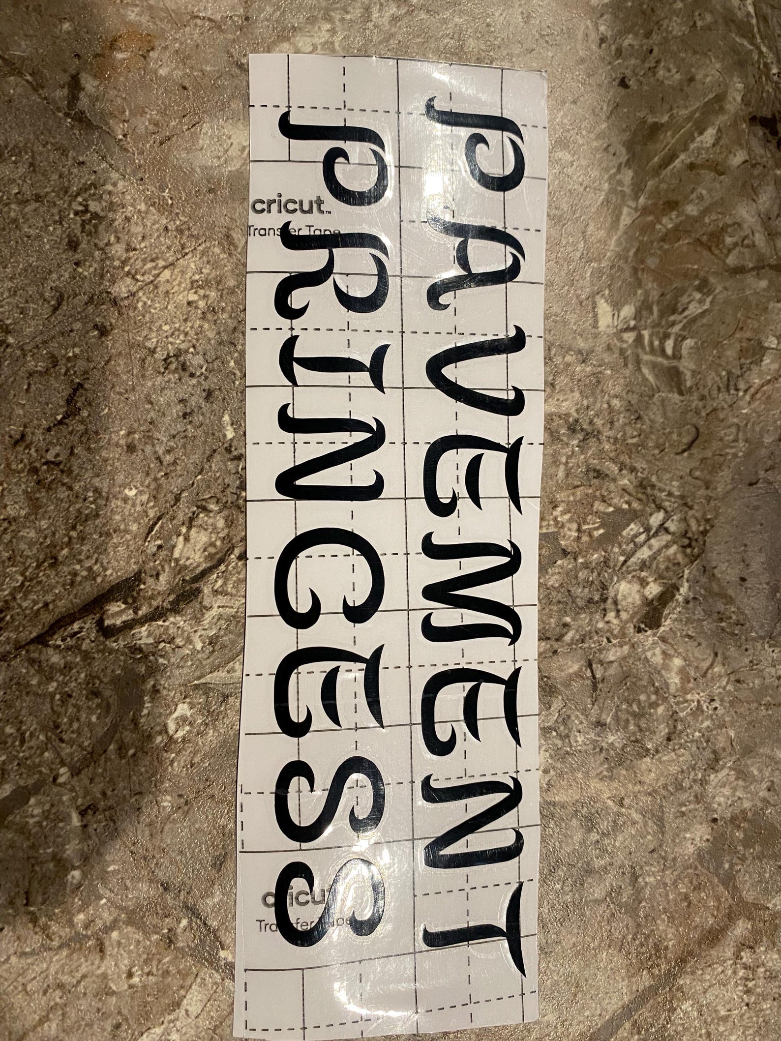 Pavement Princess Decal - Etsy