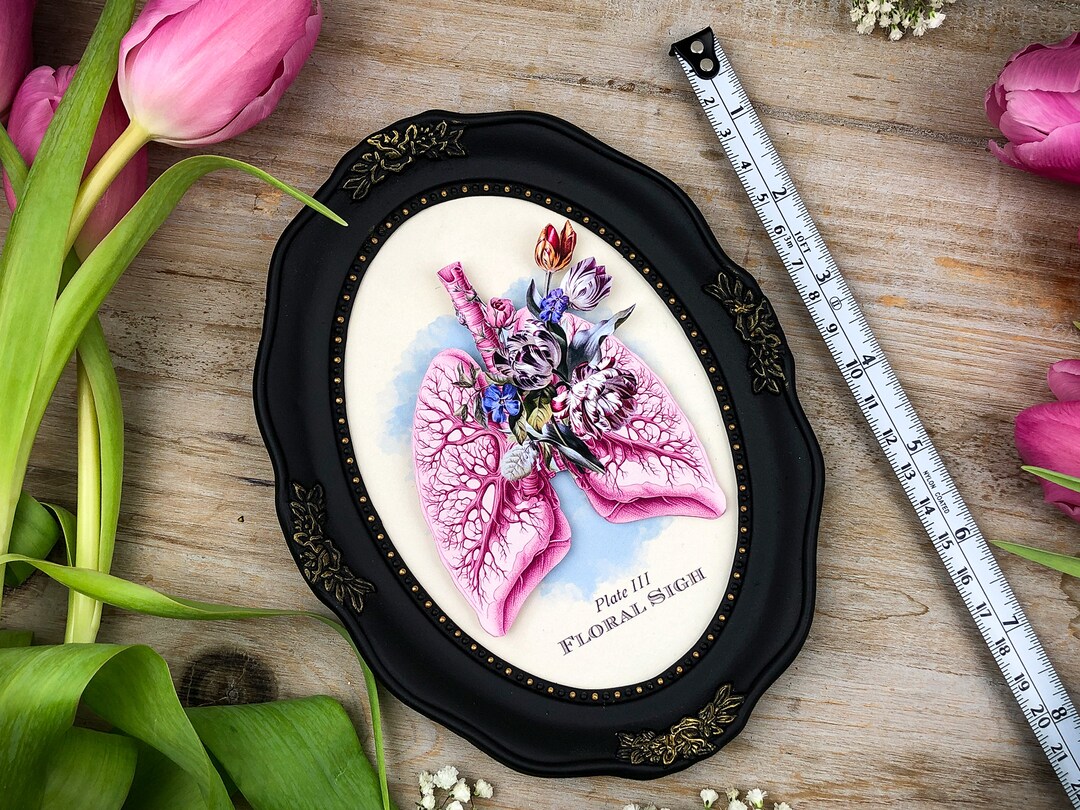Floral Lung Anatomy Art, Small French Frame Medical Decor Gift - Etsy