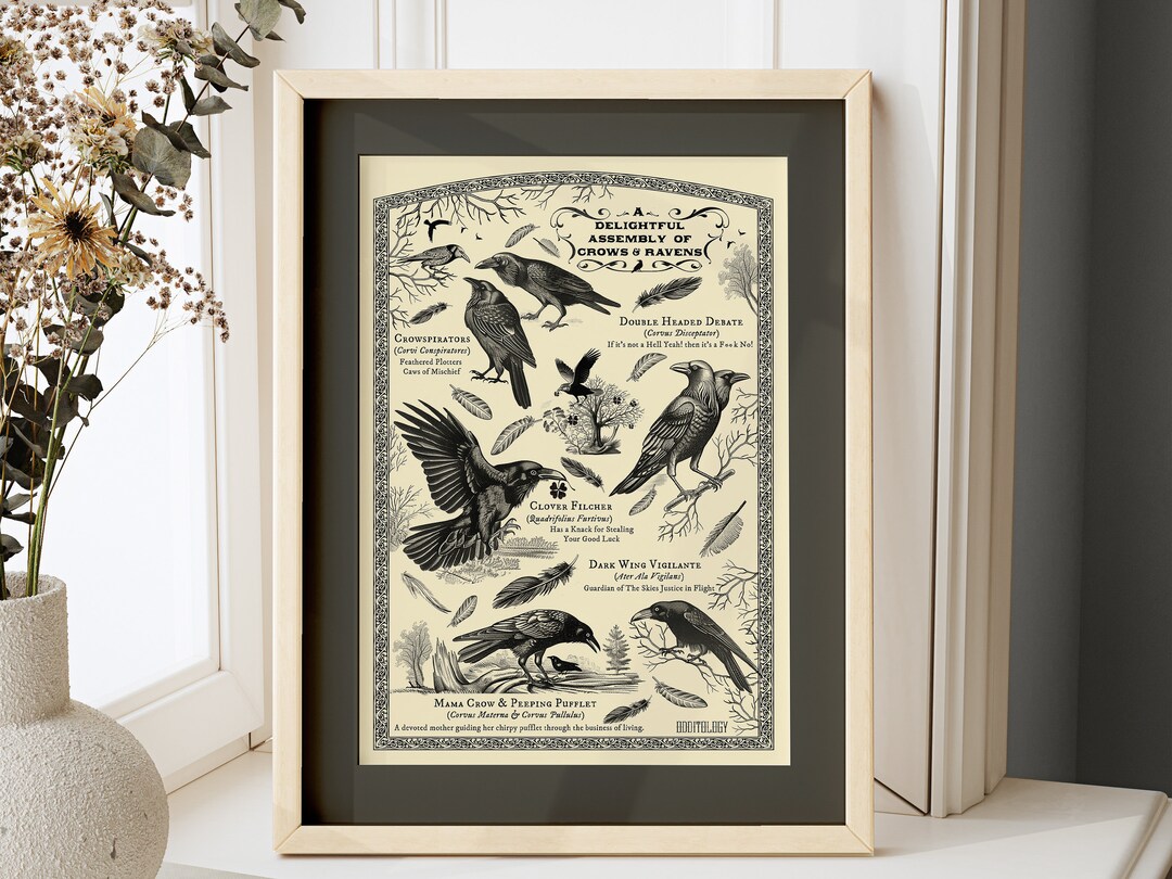 Ravens and Crows School Chart Art, Birds Art Print for Living Room Wall ...
