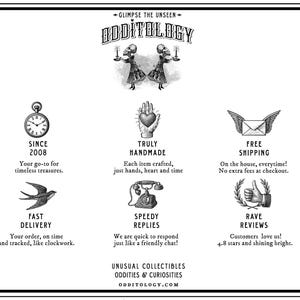 Dramatic Exit Sign, Victorian Inspired Curiosity Wall Decor, Oddity ...